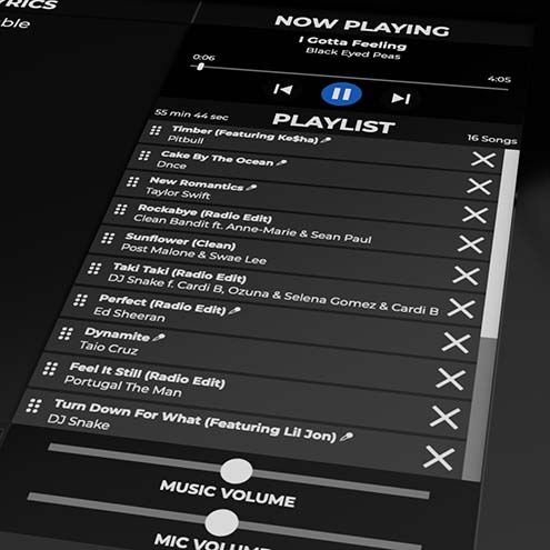 DIY DJ for Weddings, Parties, and Events | MiniDJ